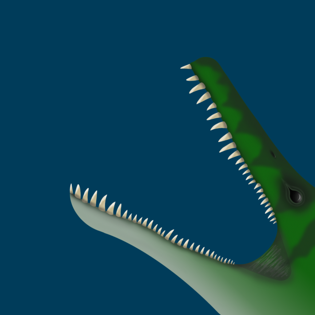 Prehistoric Jaws - Ely Museum