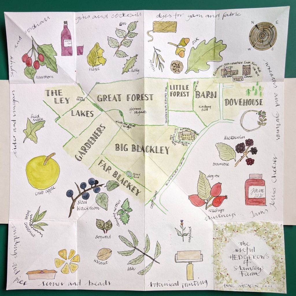 Mapping Your World Workshop - Ely Museum