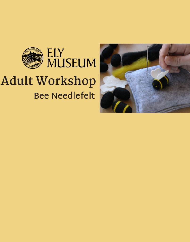 Bee Needlefelt Workshop - Ely Museum